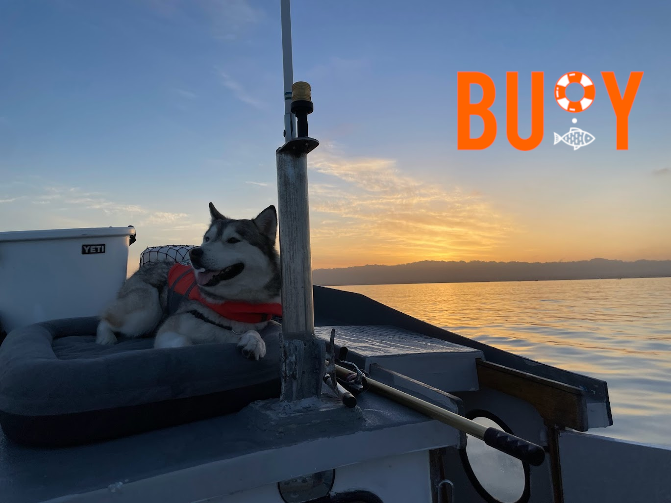 buoy.fish | Let's solve lost and abandoned fishing gear.